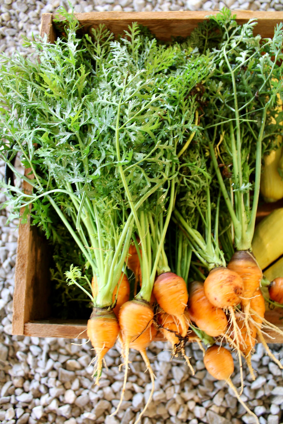 VEGGIE BOXES | Arrowsfarm