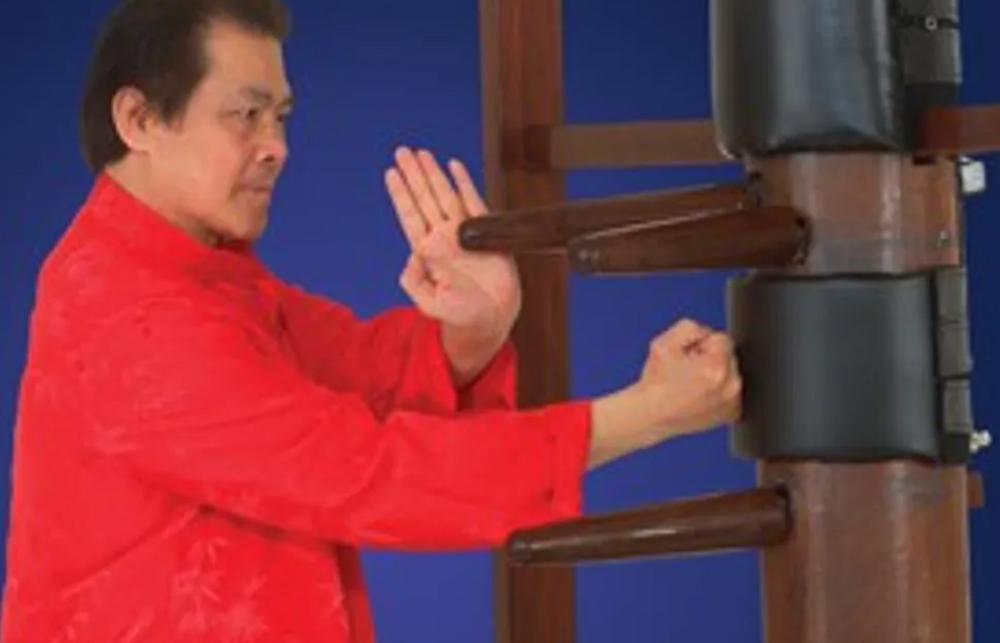 Kung Fu Techniques Video: Wooden-Dummy Wing Chun Kung Fu Training With ...